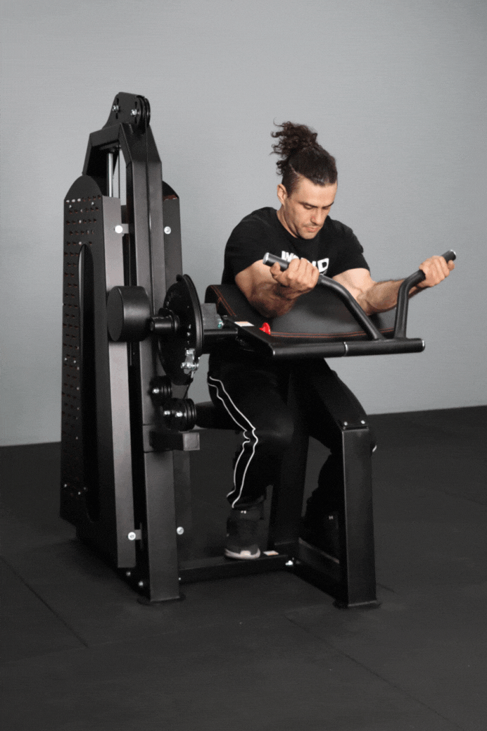 Body Iron Commercial Bicep / Tricep Curl Extension – Body Iron Thailand