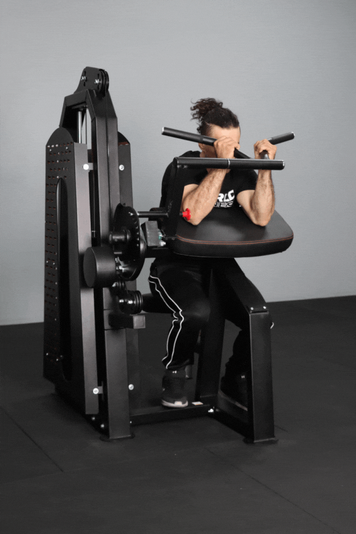 เครื่องขยายแขน/ขาไบเซป Body Iron Commercial Bicep/Tricep Curl – Body ...